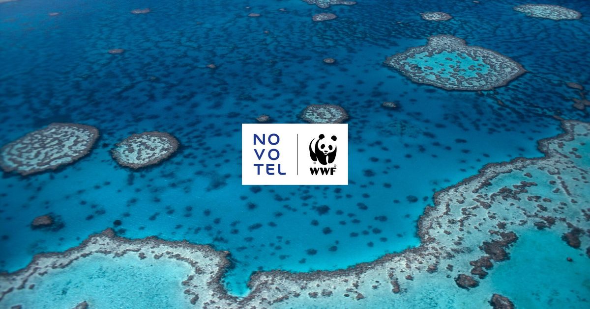 Novotel Celebrates One Year of Ocean Commitment and Sustainable ...