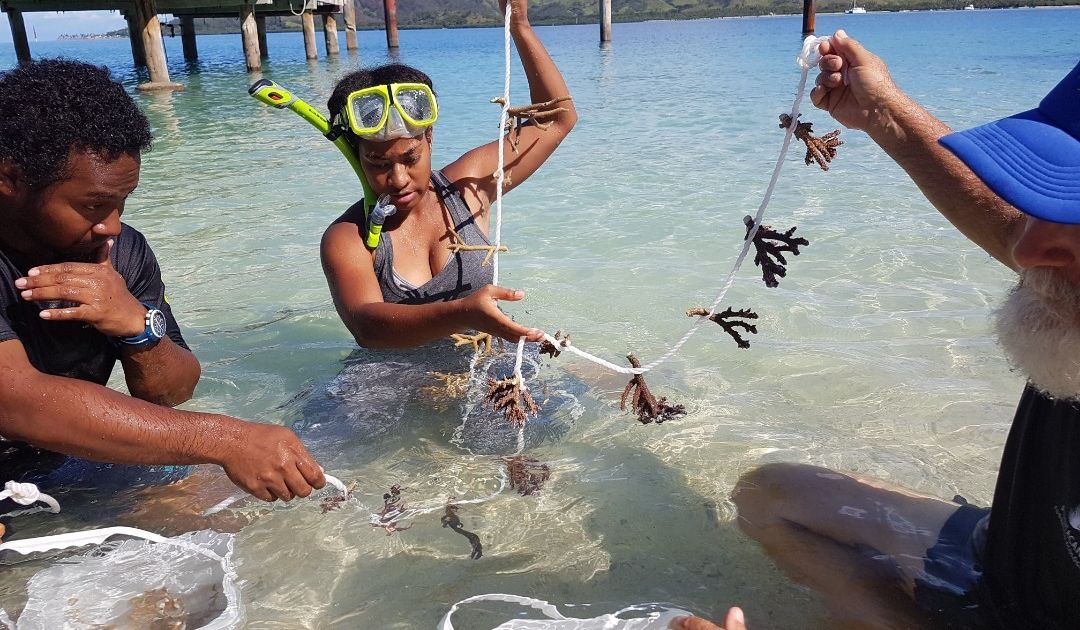 Raffe Hotels and Resorts Launches Malolo Lailai Community Trust in Fiji ...