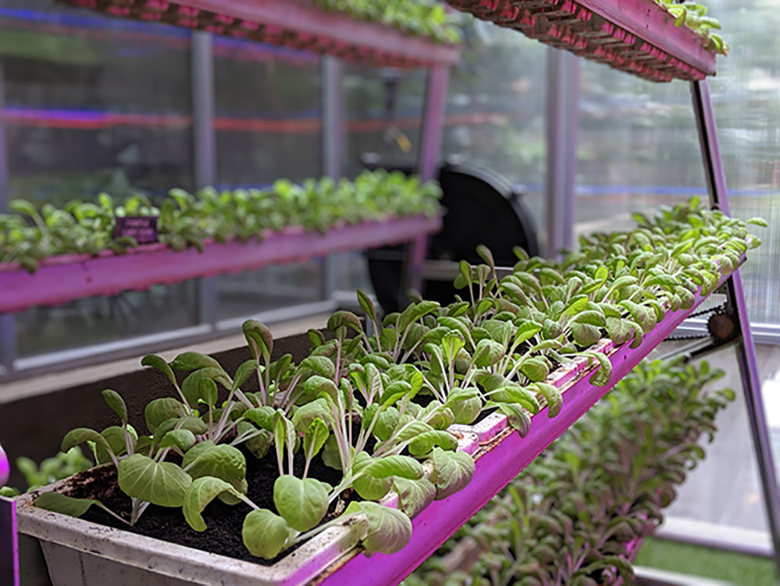 The Green Trip List: 5 Eco-friendly Destinations for the Green-minded ...