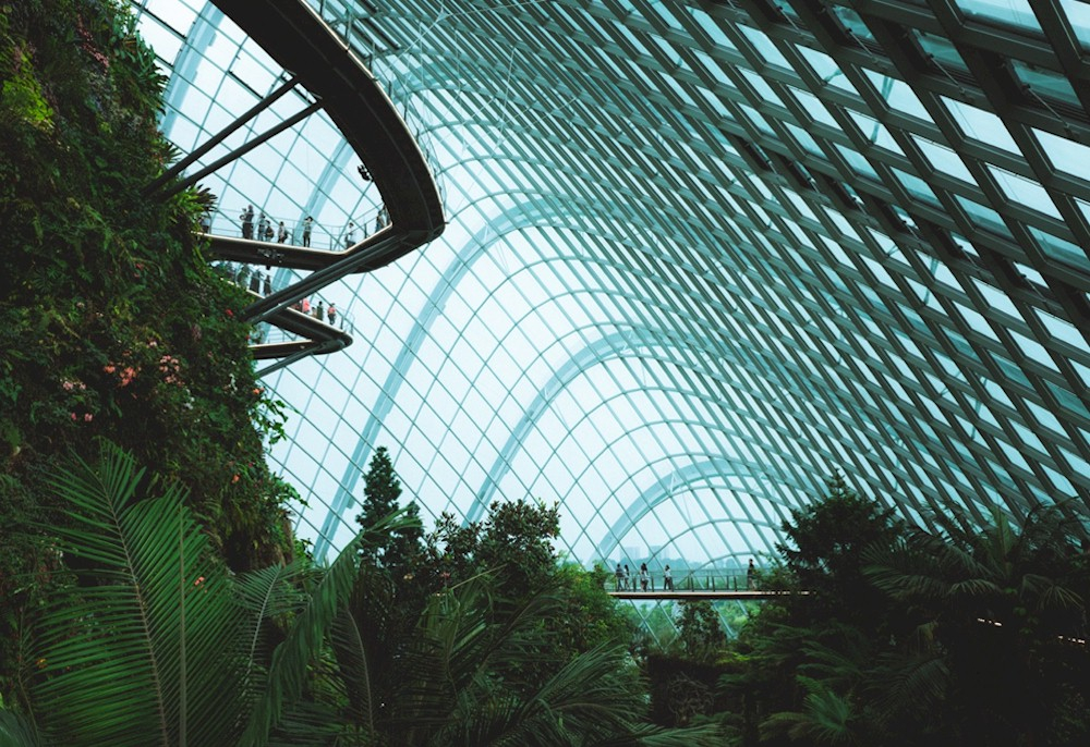 Choices and Sentience for Stability and Growth Through 2026 | By Mia ...