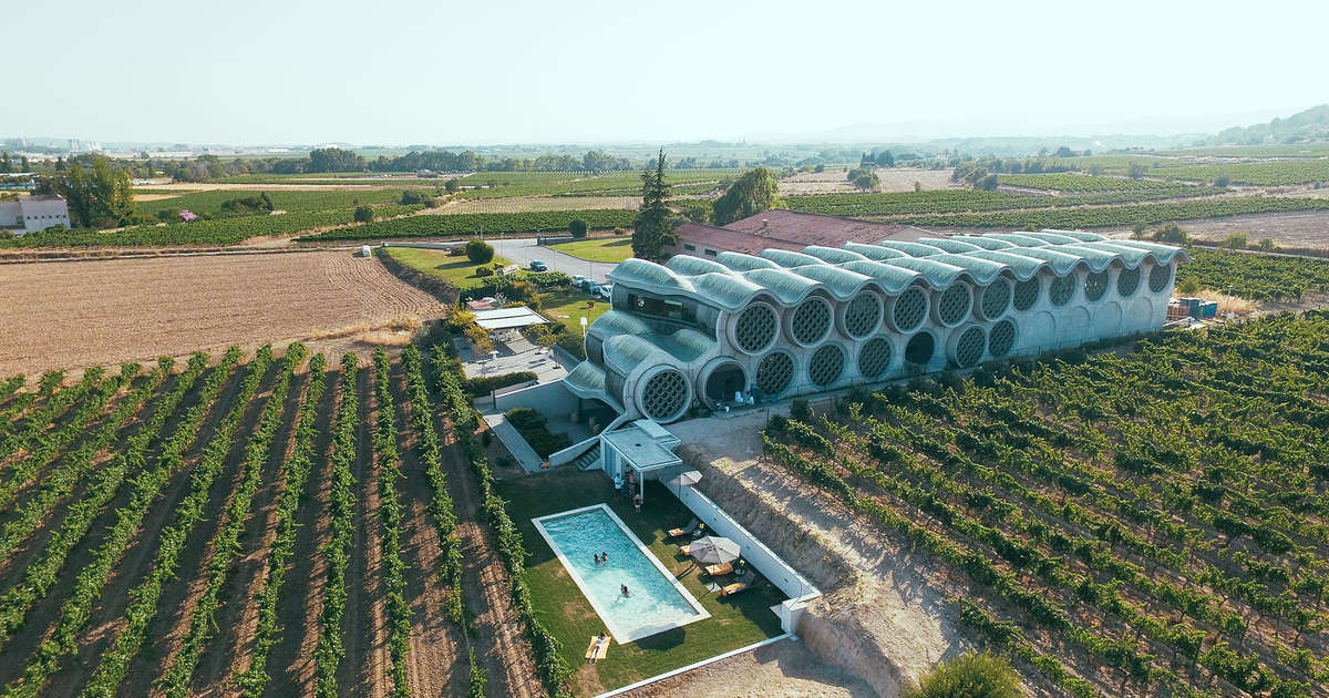 The Grape Escape: Six Ultimate Stays for Wine Lovers