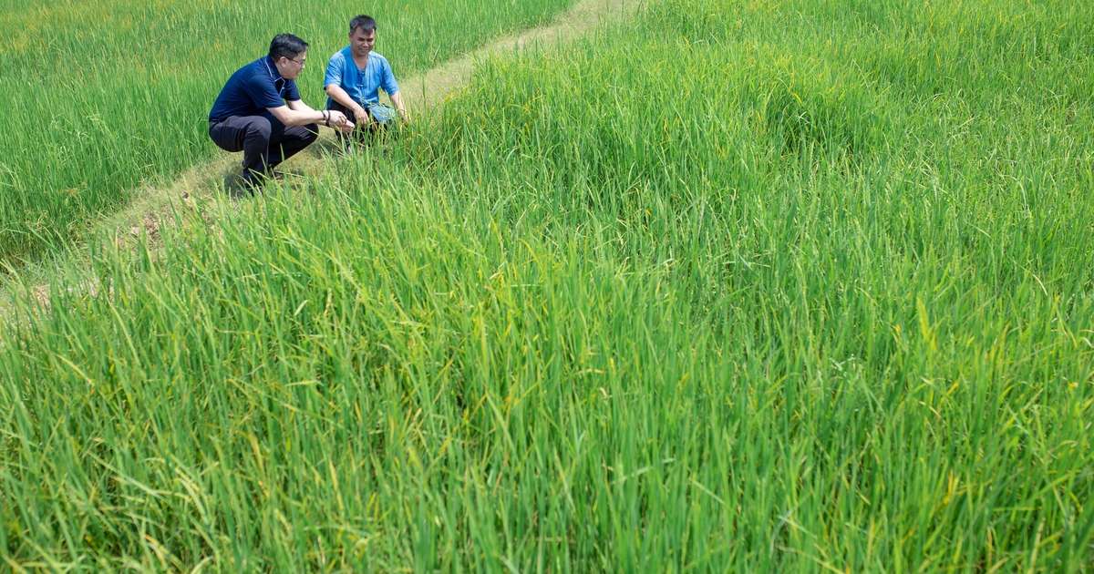 Dusit Hotels and Resorts becomes first hotel chain in Thailand to offer ...