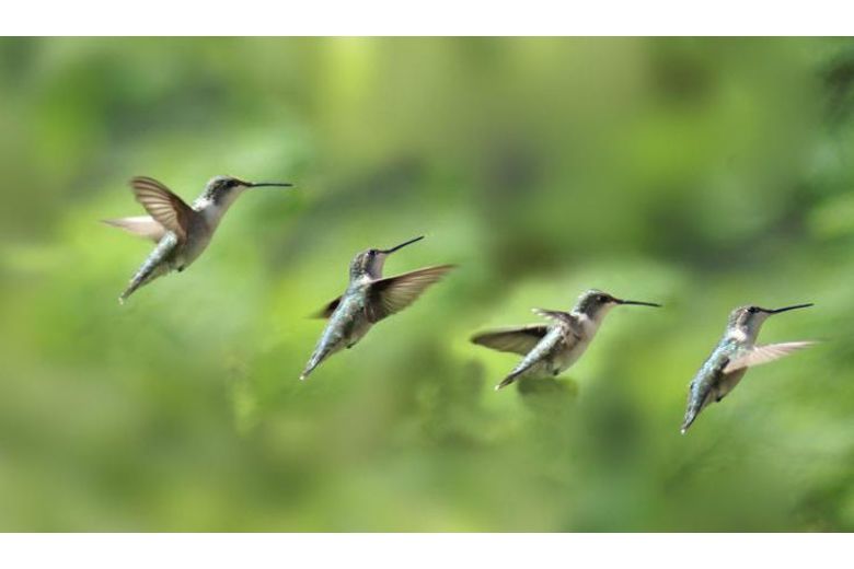 hetras Offers Data Migration From Legacy PMS