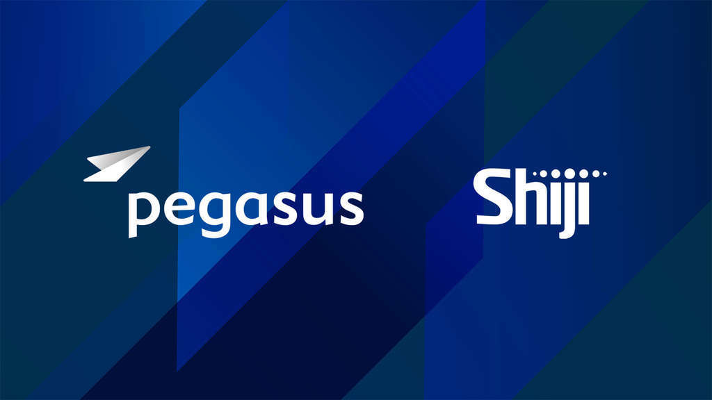 Pegasus Solutions Logo Pegasus Solutions