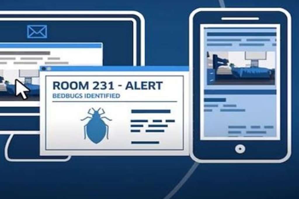 Spotta & Stainbusters team up to protect UK hotels from bed bugs