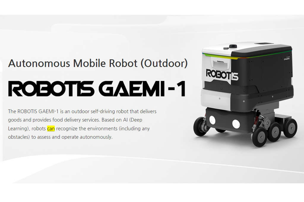 GAEMI Outdoor Delivery Robot